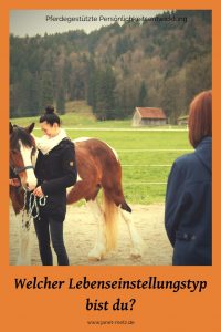 Welcher Lebenseinstellungstyp bist du? - Janet Metz - Pferde verstehen