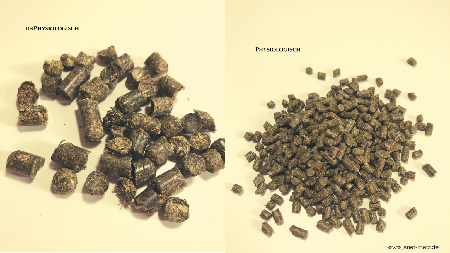 Müsli und Pellets - Janet Metz - Pferde verstehen