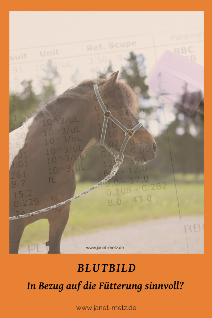 Blutbild - Janet Metz - Pferde verstehen